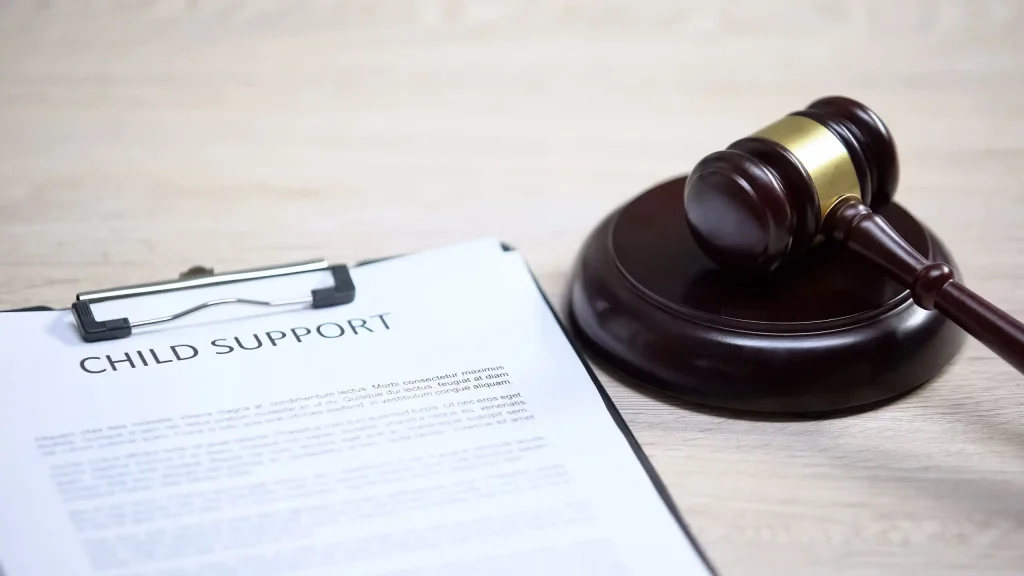 Payment Basics - 55th Circuit Court Friend of the Court